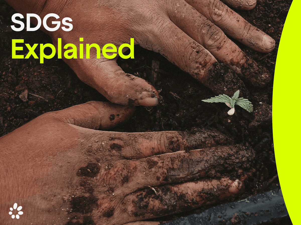 Sustainable Development Goals (SDGs)